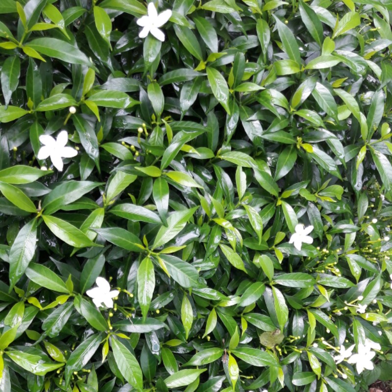 jimi_box, 線上商店 | 蝦皮購物