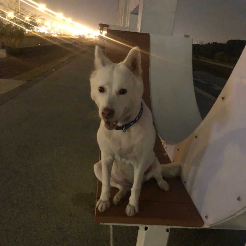 zxc09377, 線上商店 | 蝦皮購物