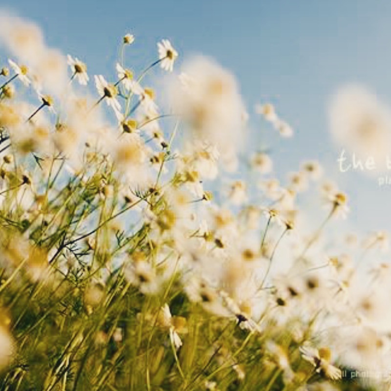 Laferr, 線上商店 | 蝦皮購物