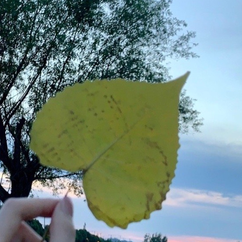 MmmmJ, 線上商店 | 蝦皮購物