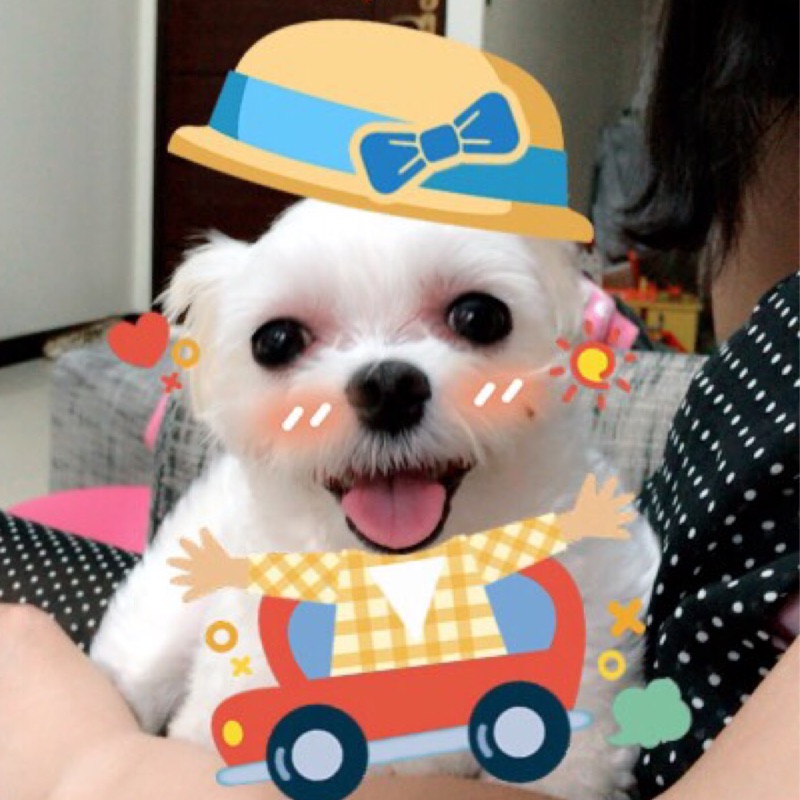 hsih_toro, 線上商店 | 蝦皮購物