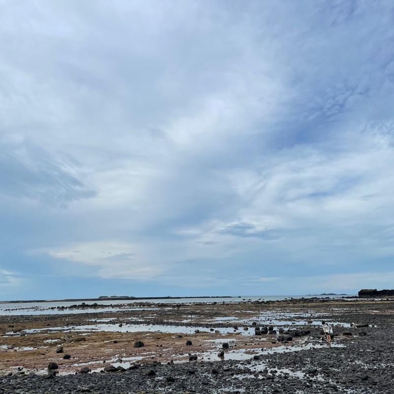 Triangle Mart, 線上商店 | 蝦皮購物