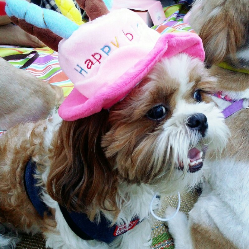 doma_family, 線上商店 | 蝦皮購物