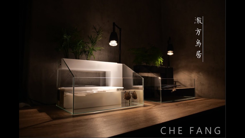 CHE FANG AQUA, 線上商店 | 蝦皮購物