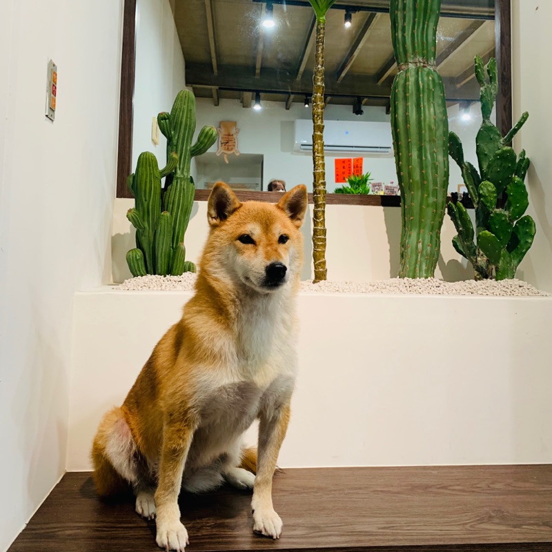 xxbxx, 線上商店 | 蝦皮購物