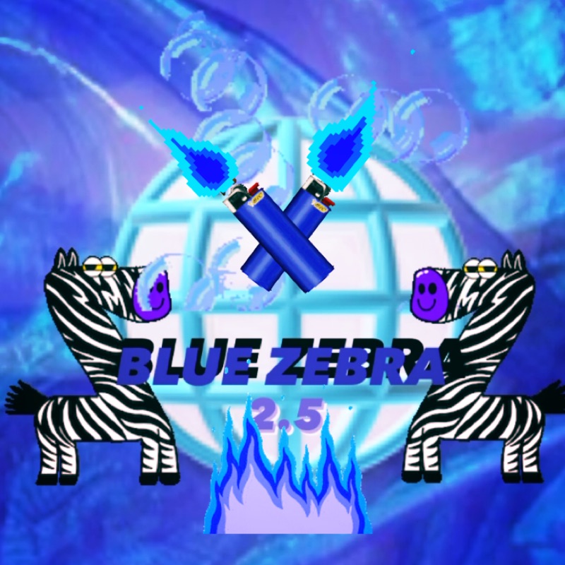 BLUE-ZEBRA, 線上商店 | 蝦皮購物