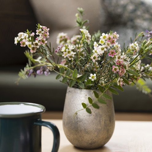 tiffany 168, 線上商店 | 蝦皮購物