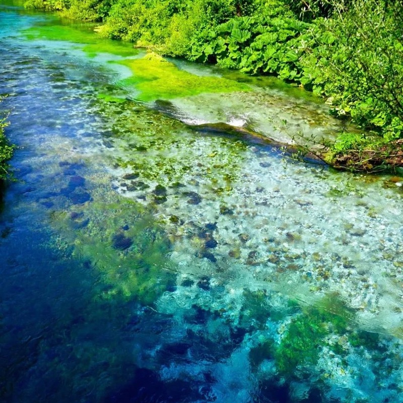 cora_shop, 線上商店 | 蝦皮購物