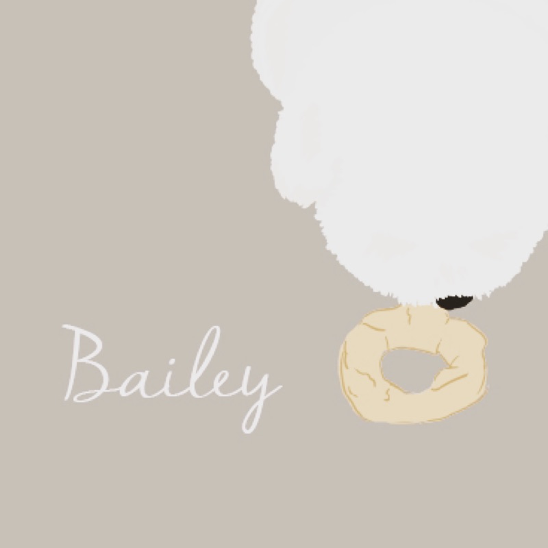 BAILEY O, 線上商店 | 蝦皮購物