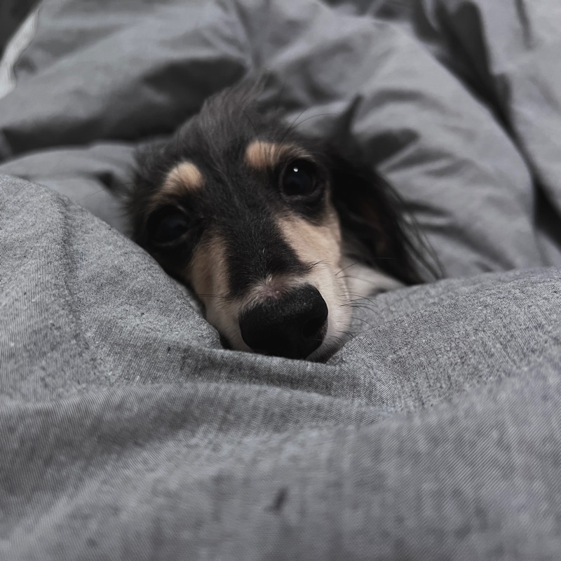 RUEI ’s, 線上商店 | 蝦皮購物