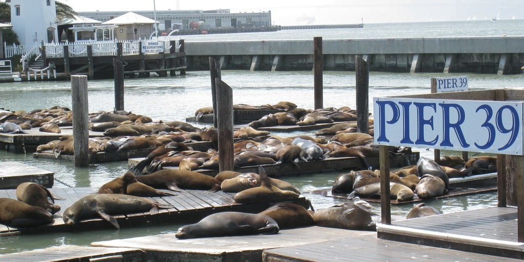 鄉民倉庫 只賣好商品 PTT Storehouse, 線上商店 | 蝦皮購物