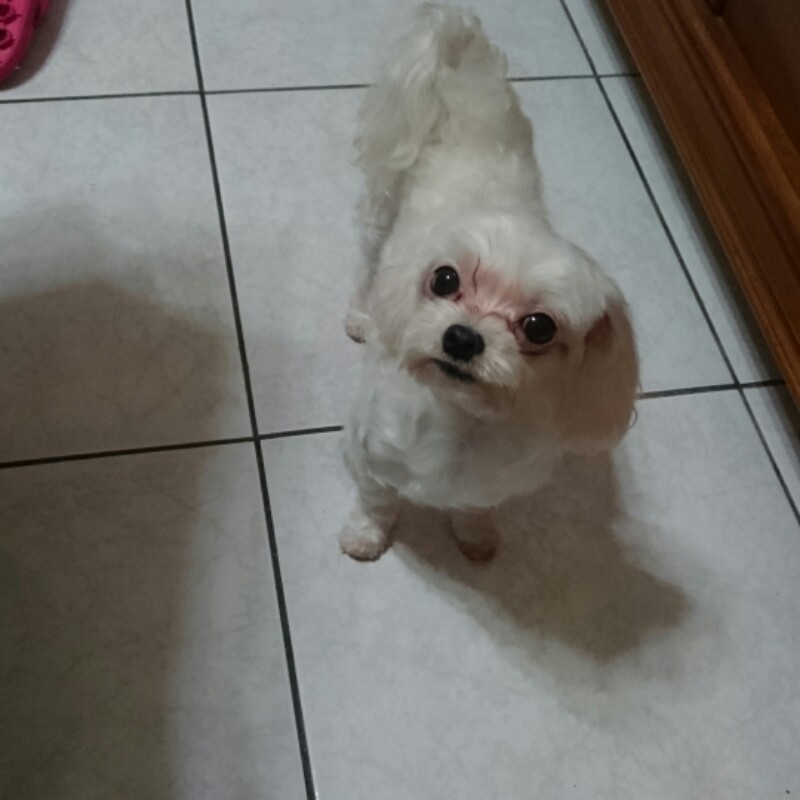 PaoRo, 線上商店 | 蝦皮購物