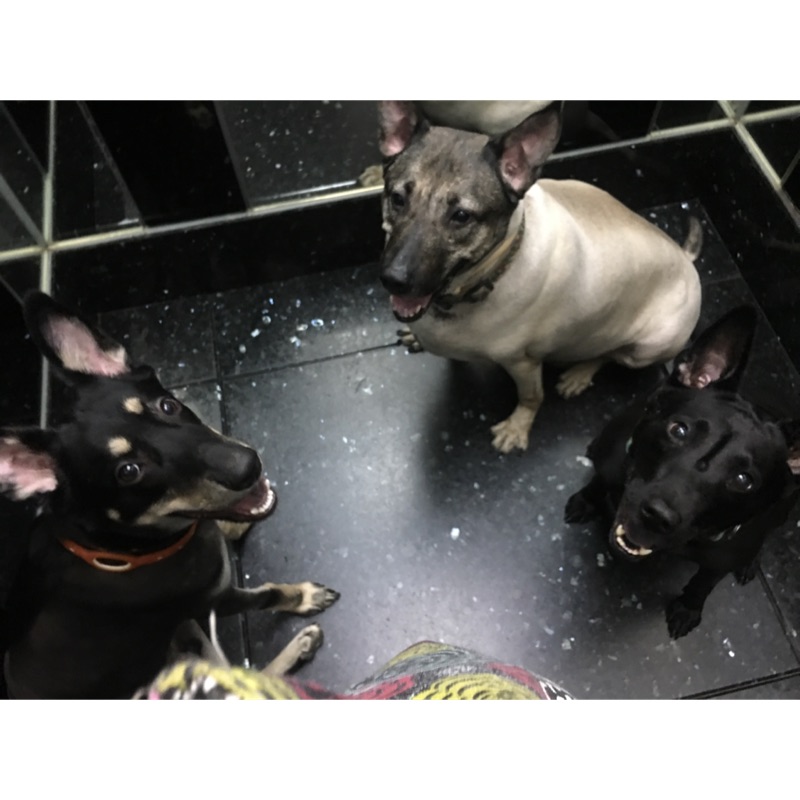 joe052505, 線上商店 | 蝦皮購物