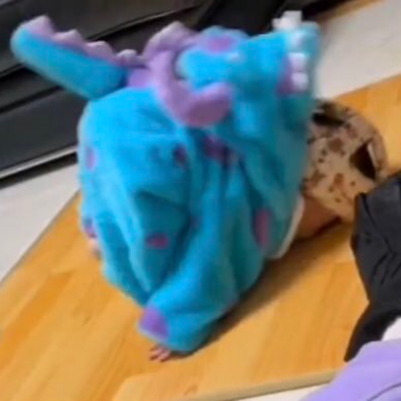 PEBRI, 線上商店 | 蝦皮購物