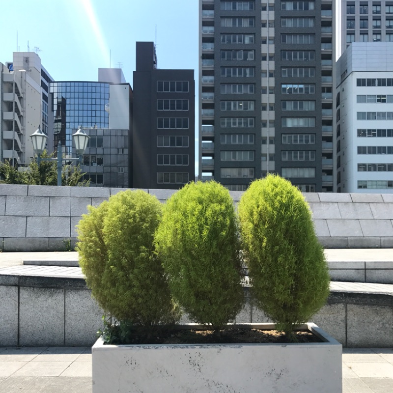 karenta, 線上商店 | 蝦皮購物