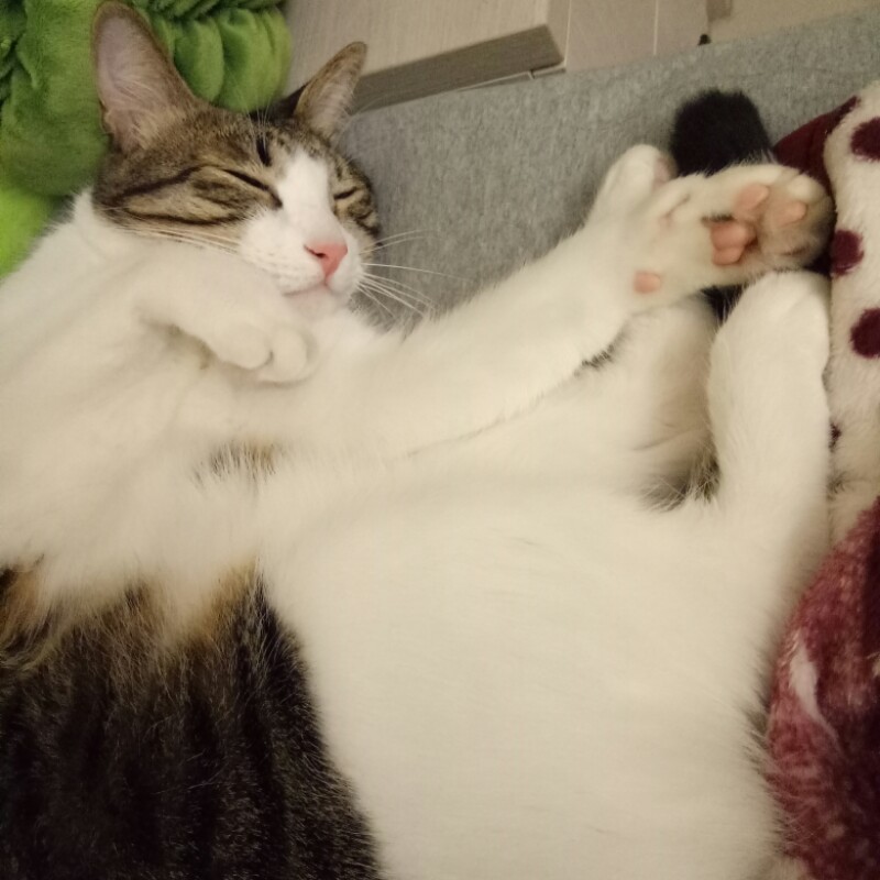 💡 Miss_light💡, 線上商店 | 蝦皮購物