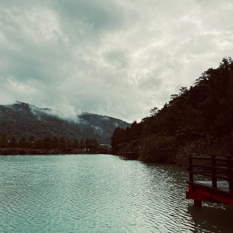 olandy, 線上商店 | 蝦皮購物