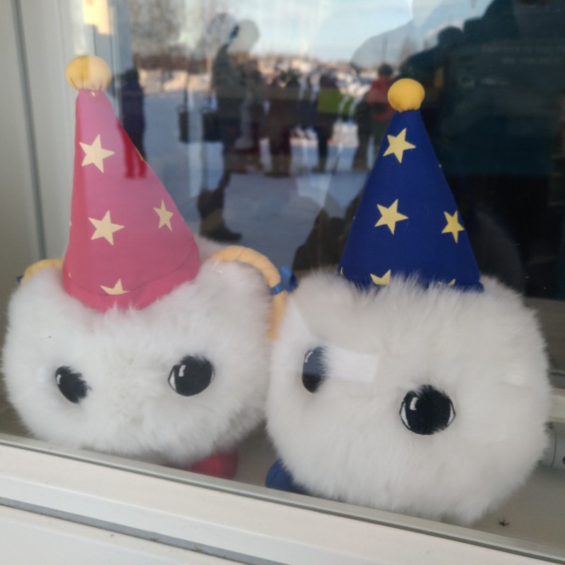 solowind, 線上商店 | 蝦皮購物