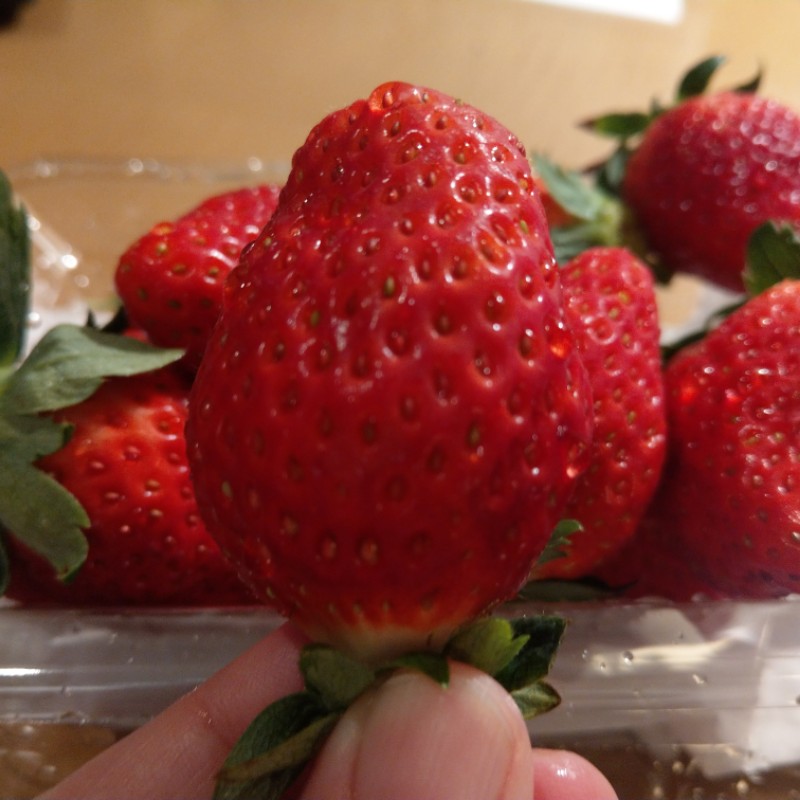 nicky_h, 線上商店 | 蝦皮購物