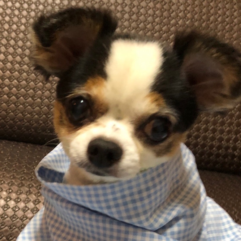 sone_yeon_gs, 線上商店 | 蝦皮購物