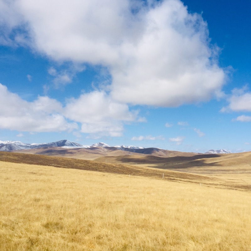 kailing, 線上商店 | 蝦皮購物