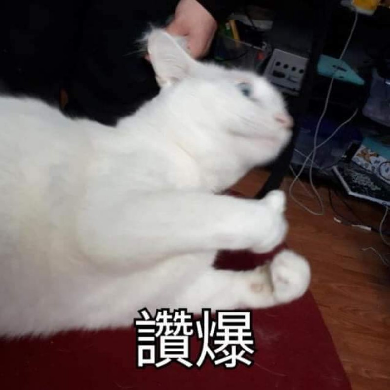 Marius_Dan, 線上商店 | 蝦皮購物