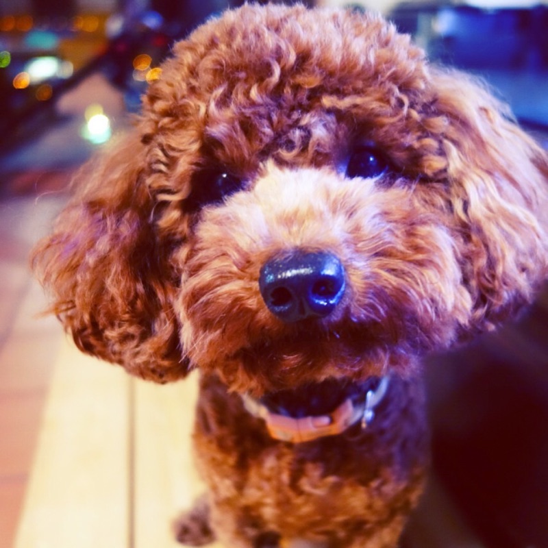 chichi8811, 線上商店 | 蝦皮購物