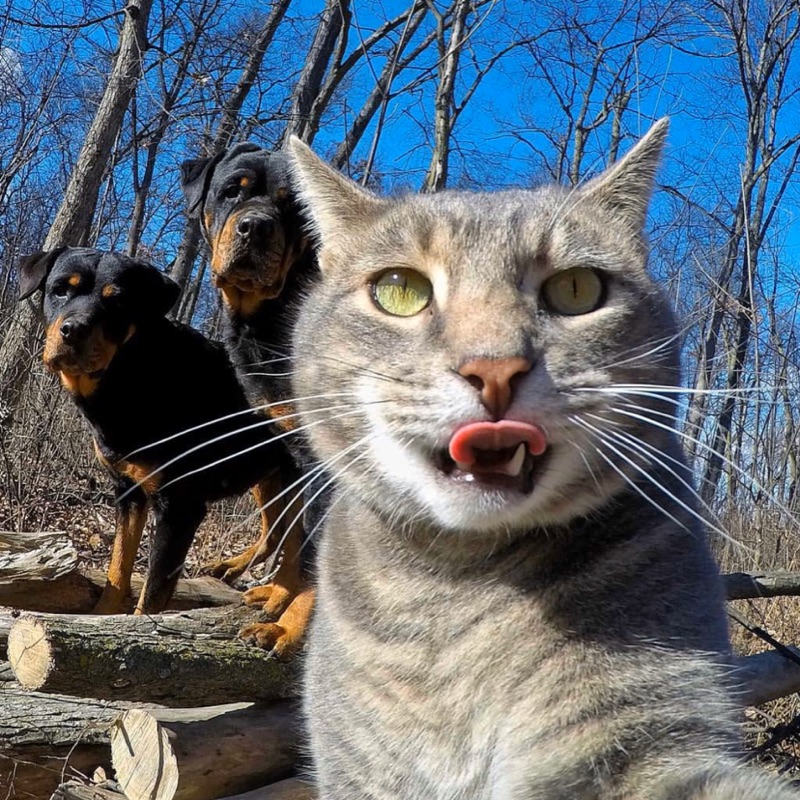 philb, 線上商店 | 蝦皮購物