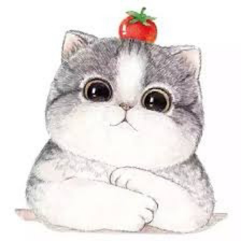 pukai, 線上商店 | 蝦皮購物