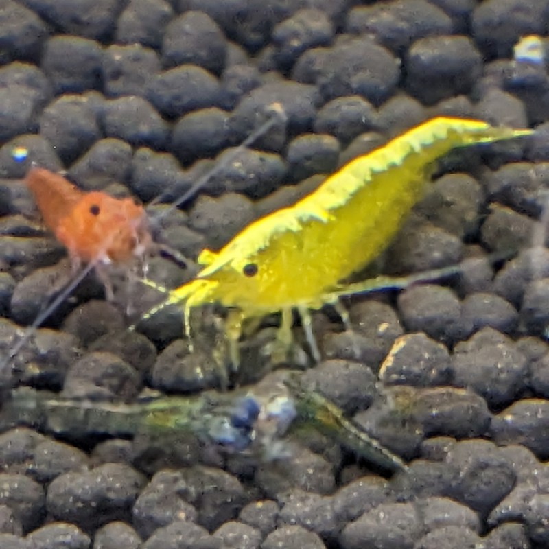 hpl77, 線上商店 | 蝦皮購物