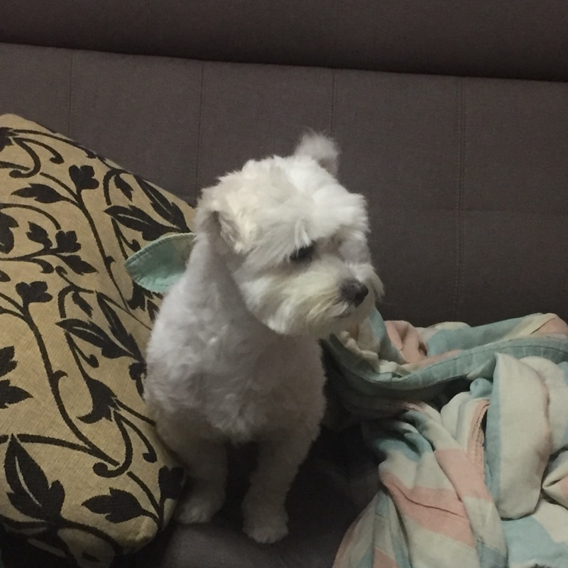 h090112301004, 線上商店 | 蝦皮購物