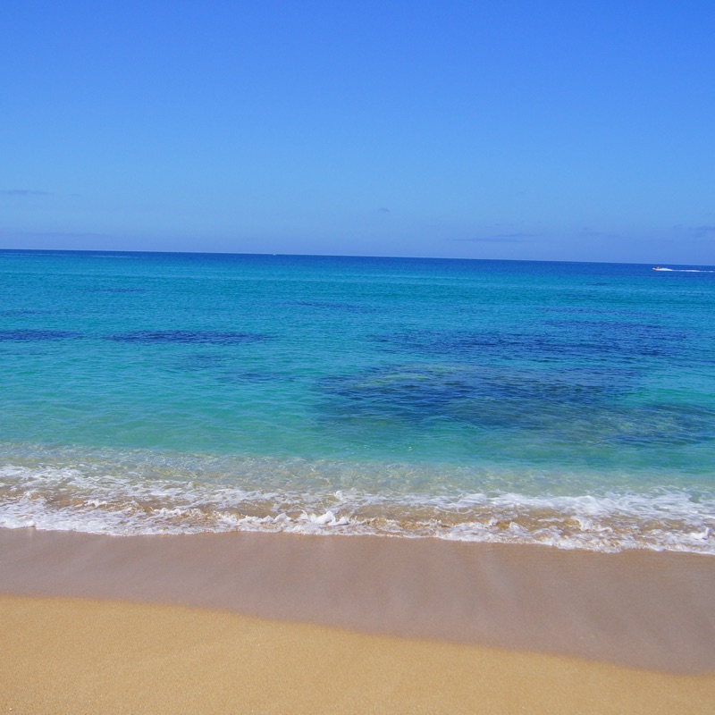 johnny.hong, 線上商店 | 蝦皮購物