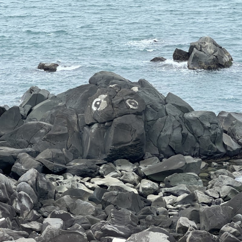 Elsa_peng, 線上商店 | 蝦皮購物