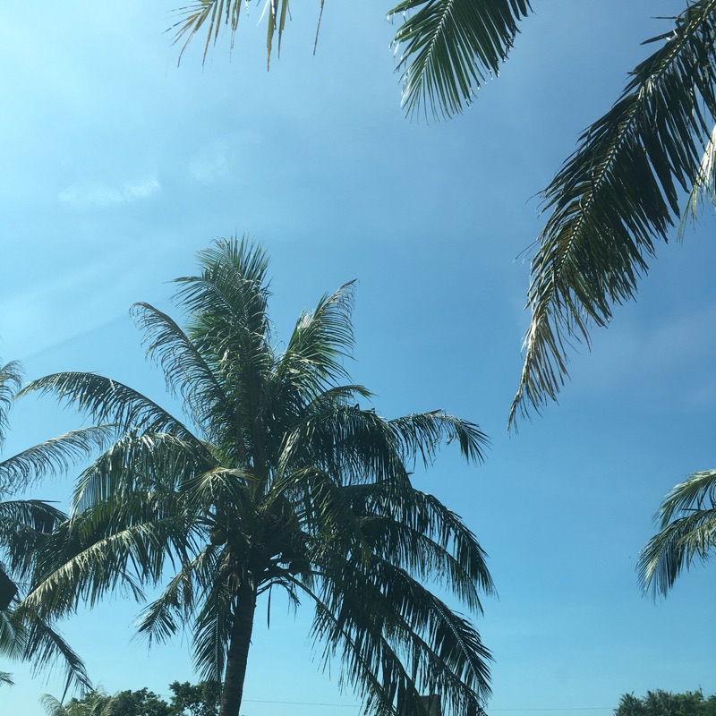 mayrose, 線上商店 | 蝦皮購物