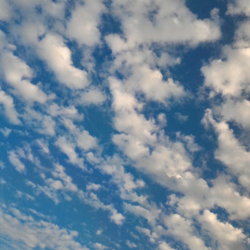 sizhu, 線上商店 | 蝦皮購物