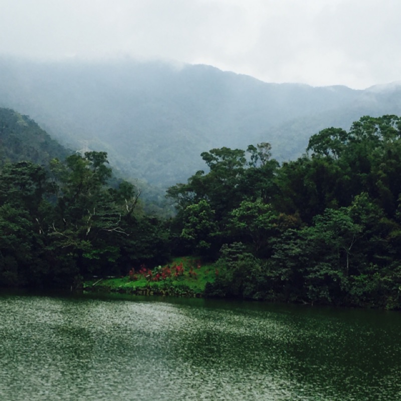 pingyuan, 線上商店 | 蝦皮購物
