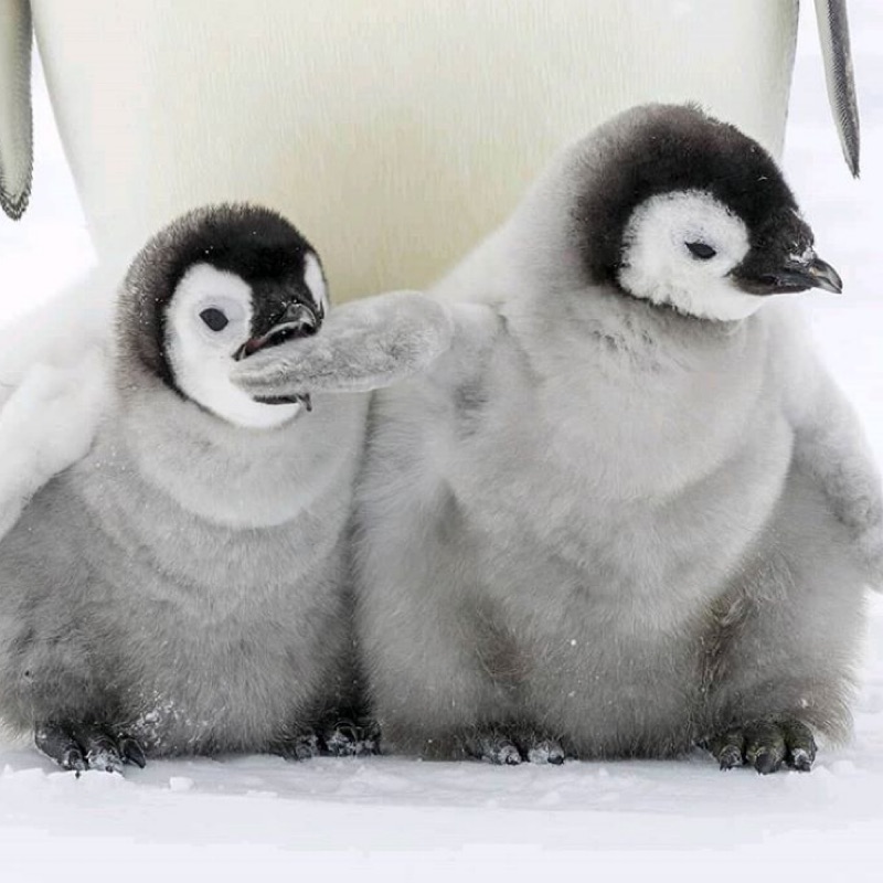 zi_min_emi, 線上商店 | 蝦皮購物