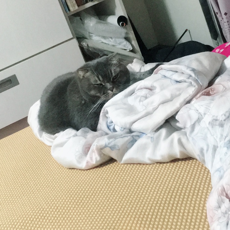 sporza, 線上商店 | 蝦皮購物