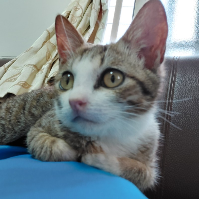 jhbnm, 線上商店 | 蝦皮購物