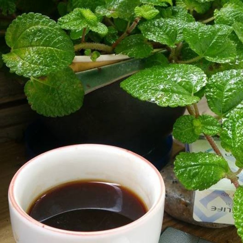 damosi, 線上商店 | 蝦皮購物