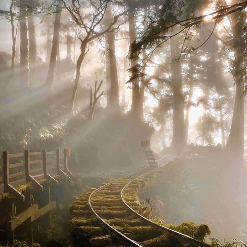 mayin0607, 線上商店 | 蝦皮購物