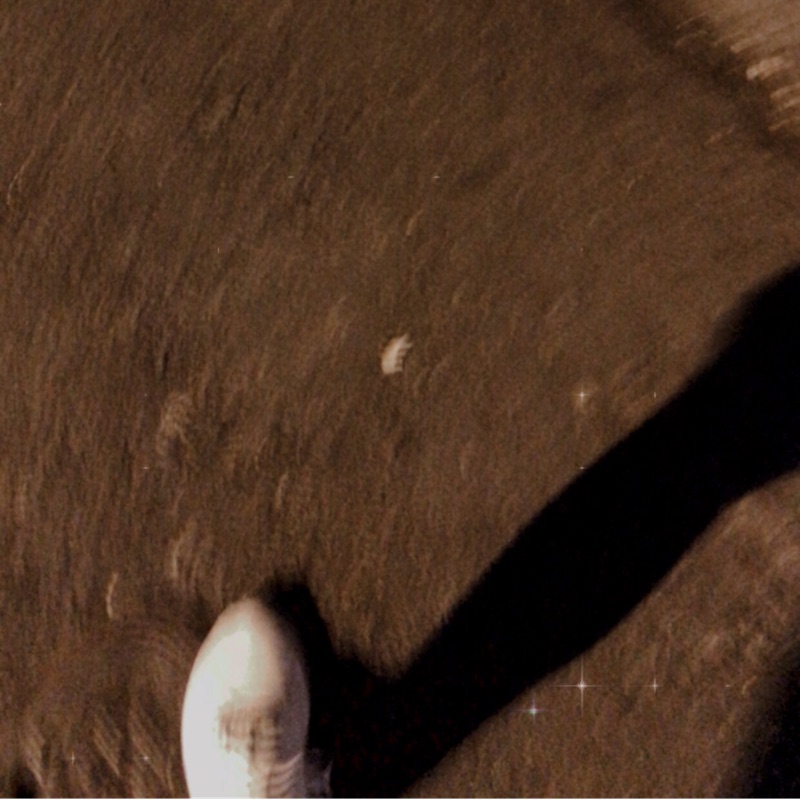 one.jing, 線上商店 | 蝦皮購物