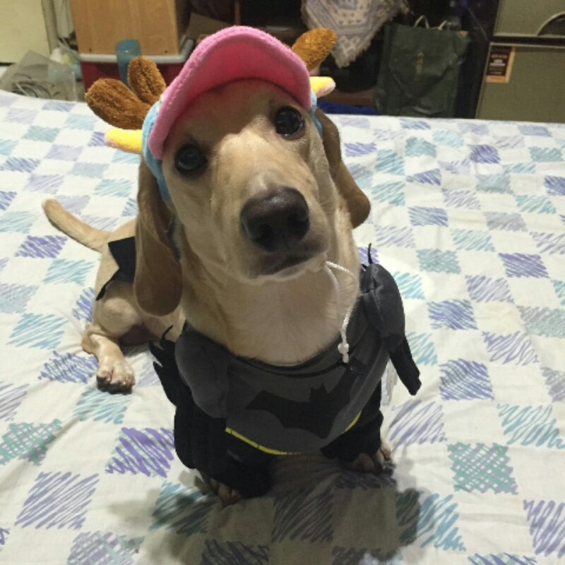 fishu, 線上商店 | 蝦皮購物