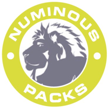 Numinous Packs 英國獅王旅行防盜背包, 線上商店 | 蝦皮購物