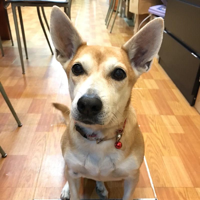 a86346480, 線上商店 | 蝦皮購物