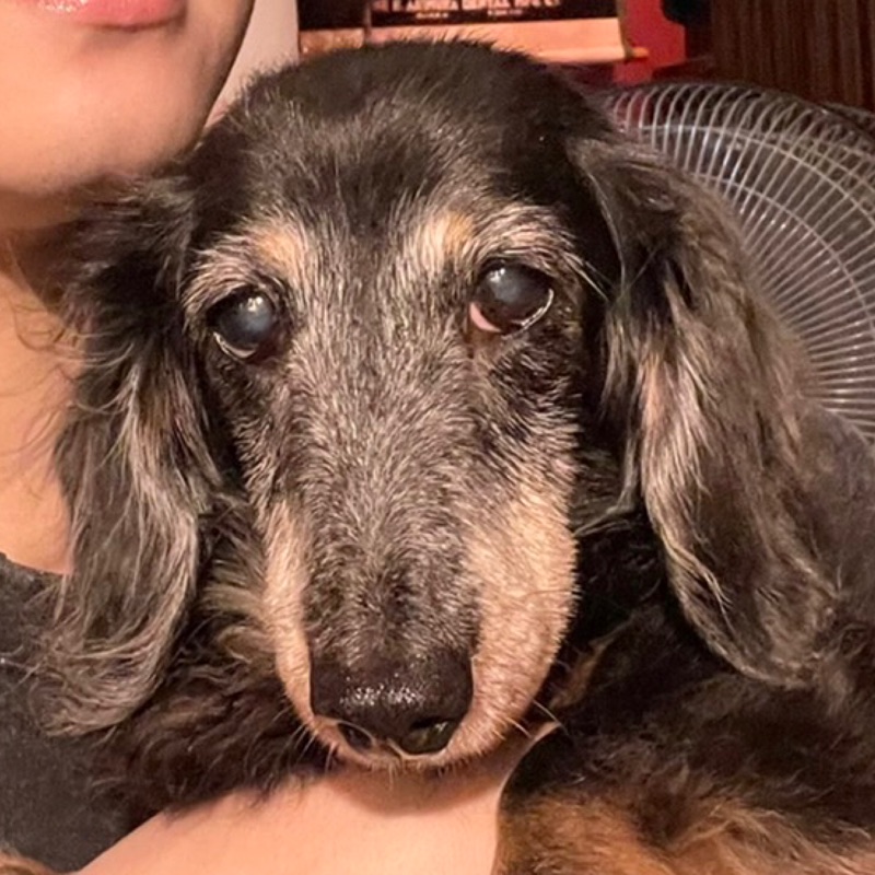 zhezhe0704, 線上商店 | 蝦皮購物