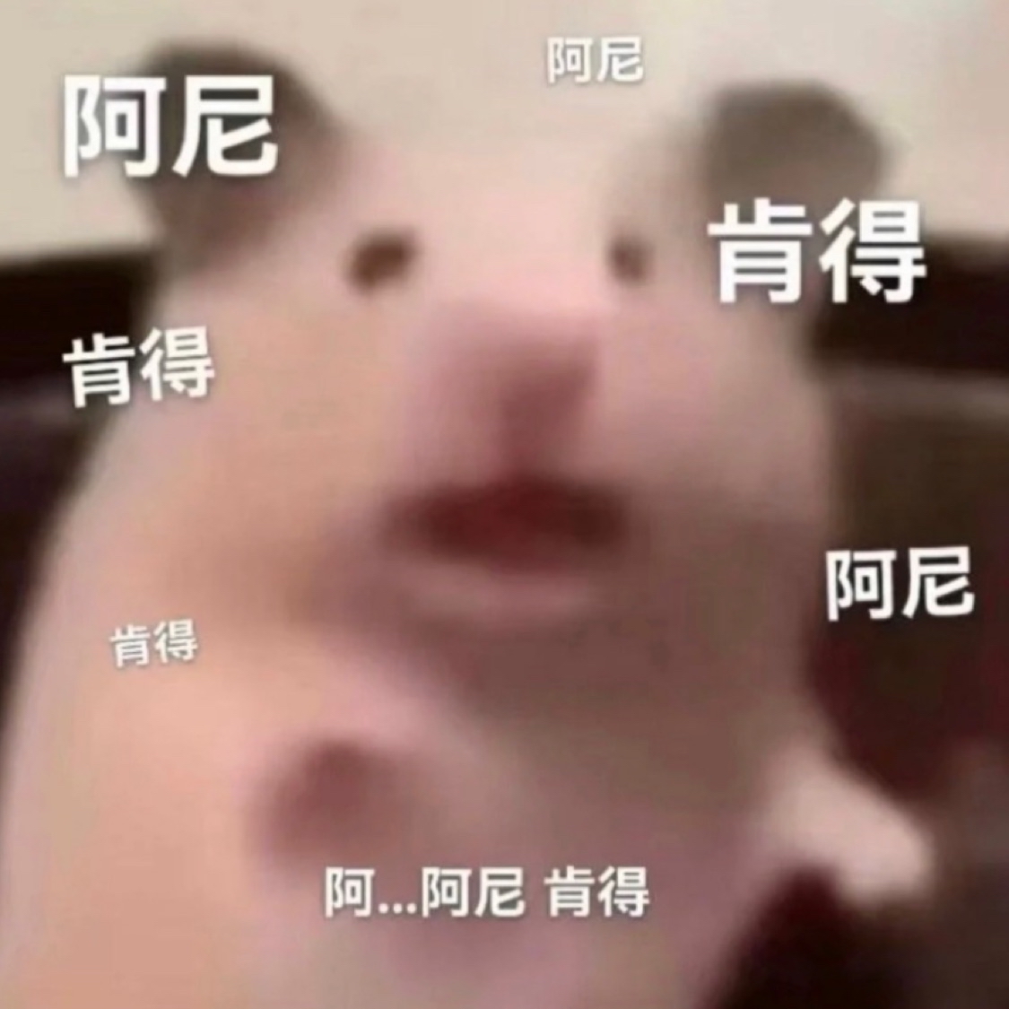 Juchu, 線上商店 | 蝦皮購物
