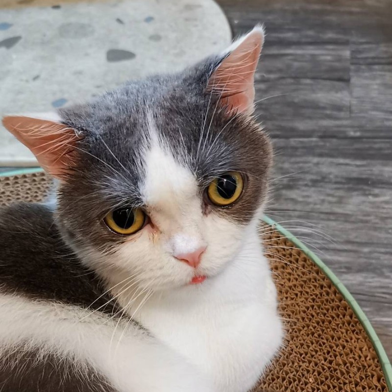 mtako, 線上商店 | 蝦皮購物