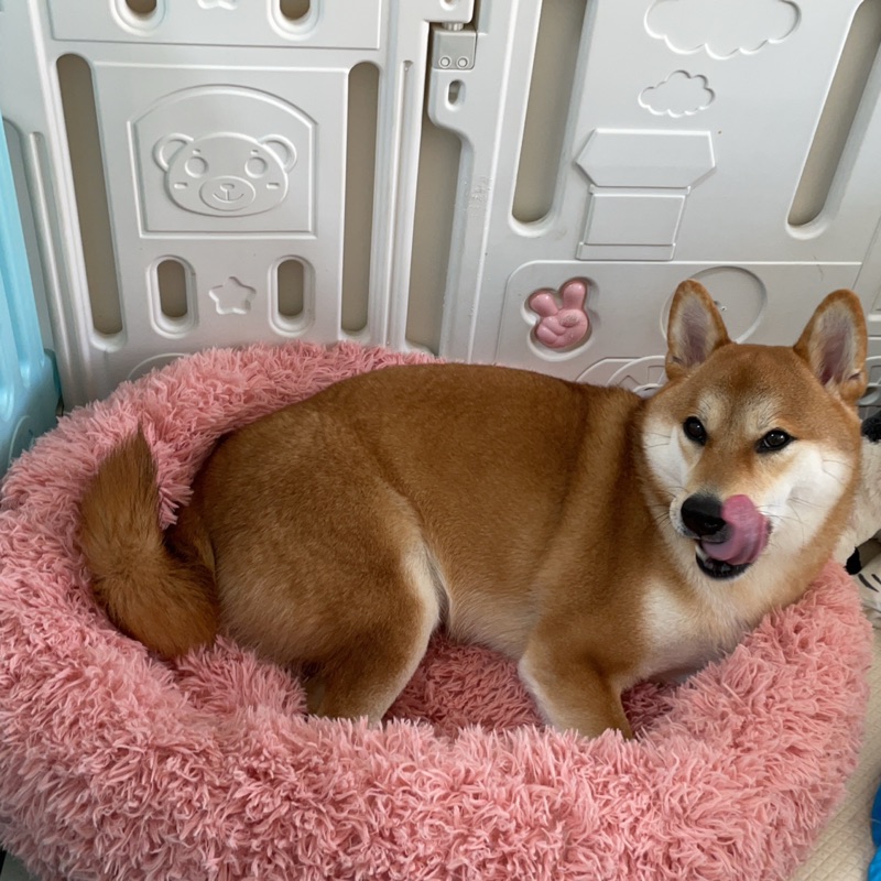 sum84o1c4, 線上商店 | 蝦皮購物