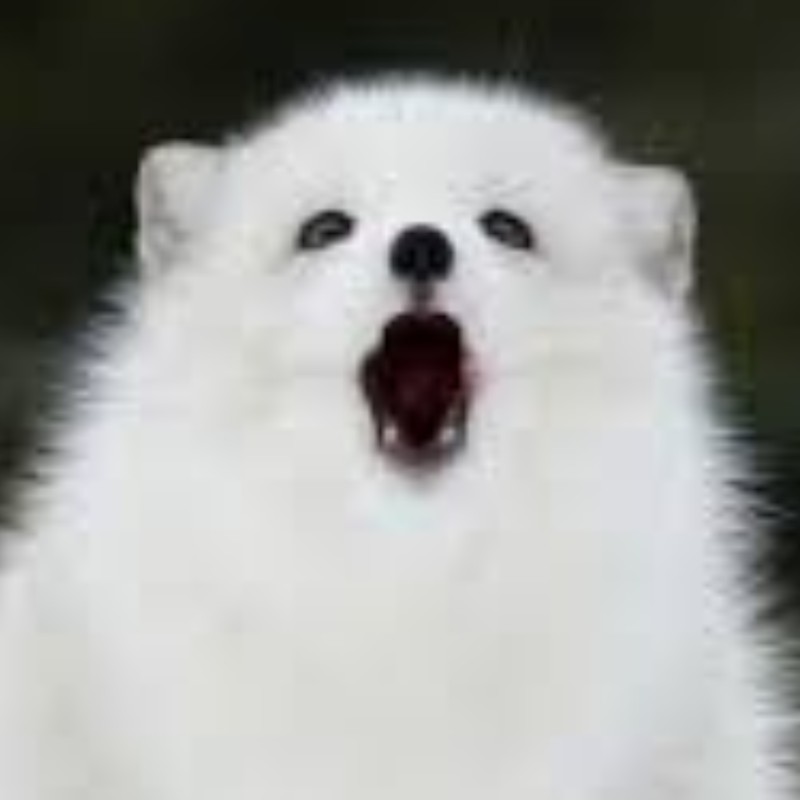 ricolinn, 線上商店 | 蝦皮購物